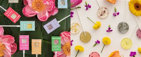 Customer Spotlight Amborella Organics Seed Bearing Lollipops