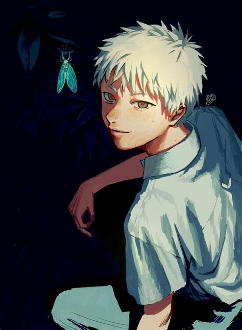 Tshd Wallpaper