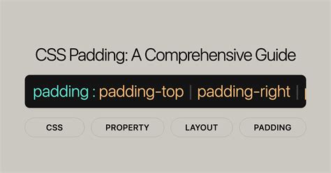 Css Padding A Comprehensive Guide
