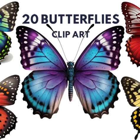 Clip Art Butterfly Etsy
