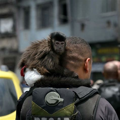 Uber Eats Adds Value Meal Deals With A New Delivery Concept Mens Journal