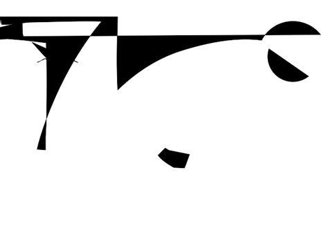 Corporate Documents North Coast Academy Of Sport