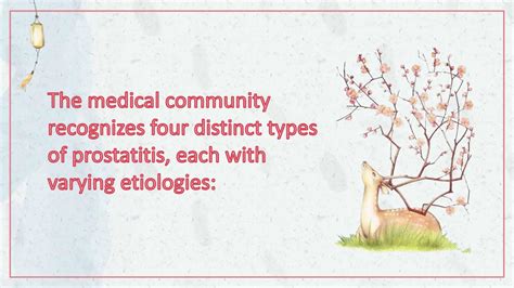 Understanding Prostatitis In Men Who Are Sexually Inactive Ppt