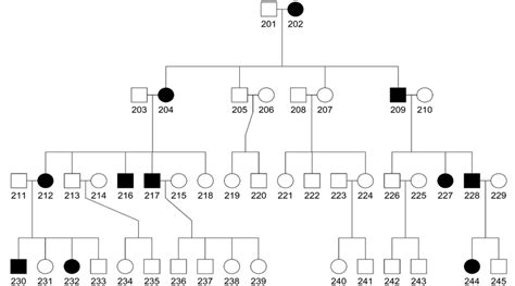 The Autosomal Dominant Ancestry Pattern With Reduced Penetrance For The