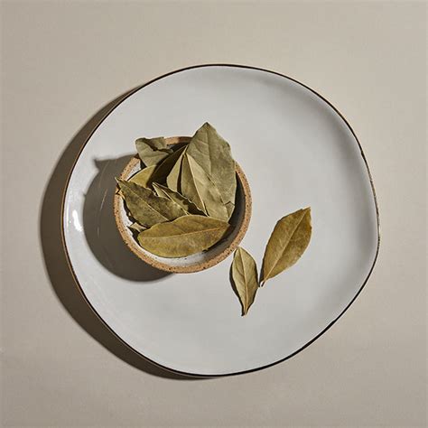 Whole Turkish Bay Leaves Buy Bay Leaves The Spice House