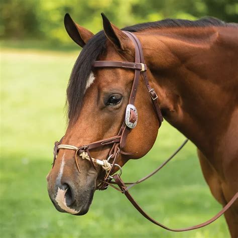 Weaver Leather® Justin Dunn Bitless Western Bridle Schneiders