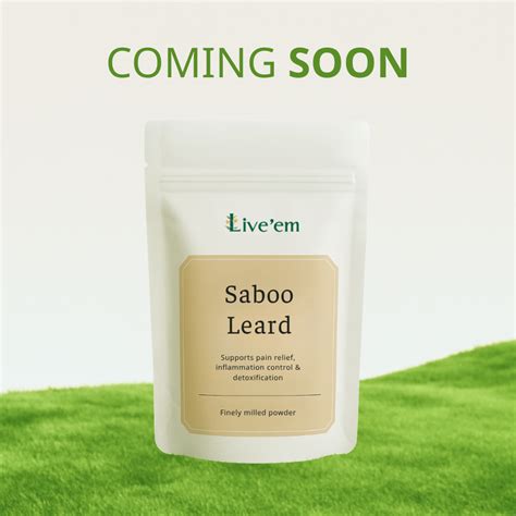 Saboo Leard Want Trading Pty Ltd A Leading Trading And Distribution Company Across Southeast