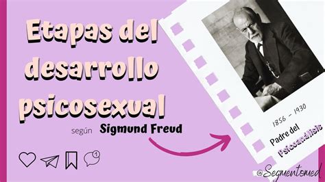 Etapas Del Desarrollo Psicosexual Segmento Med Udocz