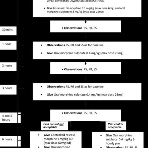 Full Analgesia Protocol Download Scientific Diagram
