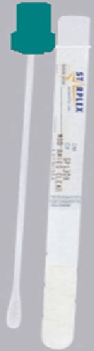 Group B Strep Culture Springfield Hospital Laboratory Test Catalog