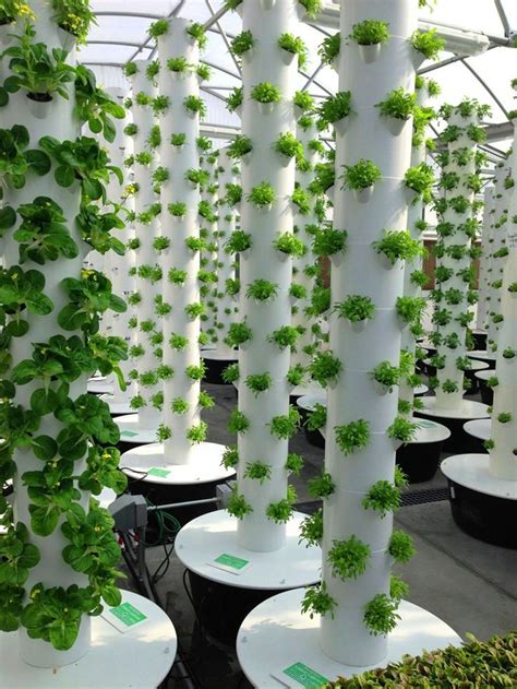 Vertical Aeroponic Tower Garden Vertical Garden Diy Hydroponic