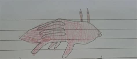Speculative Evolution Amateur Drawingdepiction Of A Stoneskimmera Large Sea Slug That