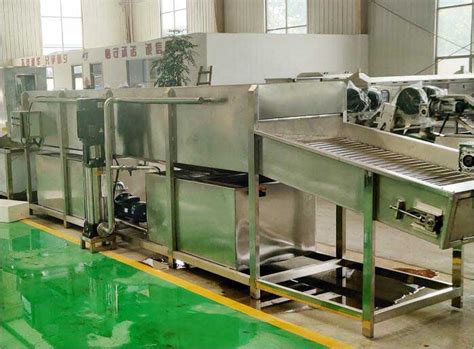 Inline Brush Roller Washing Machine Food Packaging Machines Factory