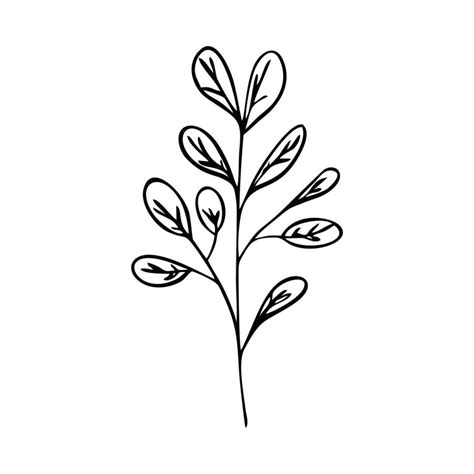 Laurel Branch Illustration 43044054 Vector Art At Vecteezy