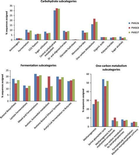 Predicted Metabolic Profiles Of Pm Metagenome Related To Carbohydrate Download Scientific