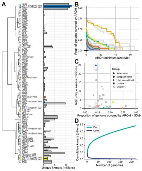 Comparison Of Recombination Rate Reference Bias And Unique Pangenomic