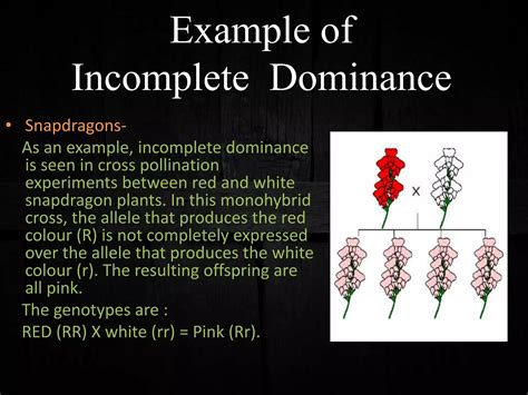 Incomplete Dominance Vs Co Dominance Pptx