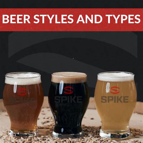 Beer Styles And Types Beer 101 Spike Brewing