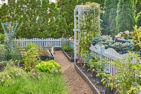 How To Design A Vegetable Garden Layout In Any Space