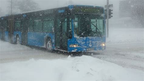 Mladen Bajić Osoba Godine