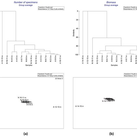The Total Weight Frequency Distribution Of Specimens In Natural Dens