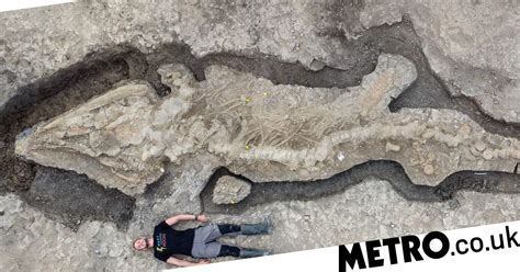 Sea Dragon Discovery Hailed As One Of The Best Fossil Finds In The Uk