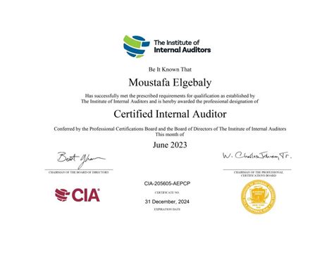 Cia Iia Moustafa Elgebaly Cia Cpa Cma 17 Comments