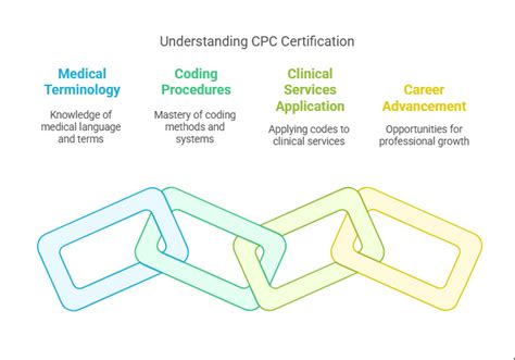 Cbcs Vs Cpc Which Medical Coding Certification Is Best — Ambci