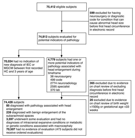 Flowchart Describing Identification Of Subjects With Outcome IEC Download Scientific Diagram