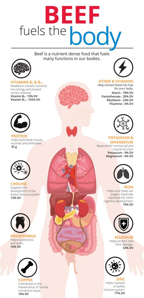 Protein The Way Nature Intended Thinkbeef