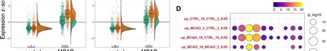 Cell Type Proportion Estimation By Transcriptome Deconvolution A Download Scientific Diagram