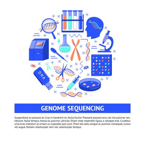 Sequencing Icon Illustrations Royalty Free Vector Graphics And Clip Art