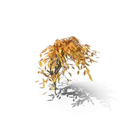 Suoirensu Sex Vine Png Images And Psds For Download Pixelsquid