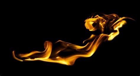 Was Siehst Du What Do You See Marc Schultz Coulon