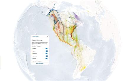 The Bird Migration Explorer Lets You Interact With Natures Most