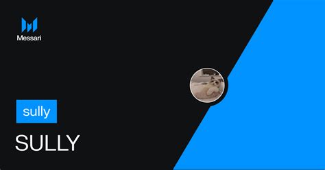 Sully Price Sully To Usd Research News And Fundraising Messari