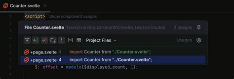 Svelte Webstorm Documentation