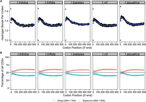 The Relationship Between The Number Of Hydrogen Bonds And Codon Download Scientific Diagram