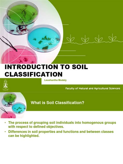 Theme 11 Soil Classification Updated Pdf Soil Physical Geography