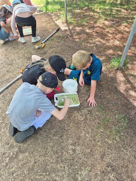 Tameside Primary Academy Added Tameside Primary Academy