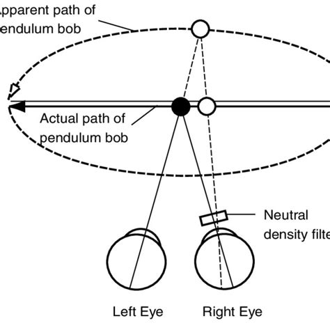 Bayesian Model Of Visual Speed Perception A For A High Contrast Download Scientific Diagram