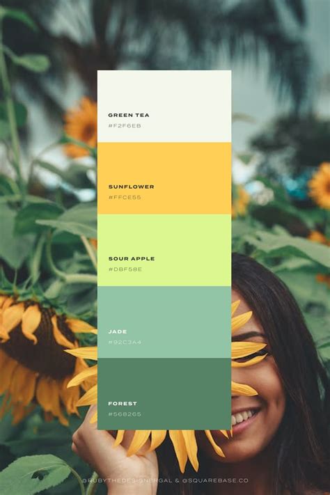 Fresh Organic And Bright Colour Palette For Your Brand Or Squarespace
