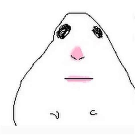 Pin By F On Ⓜ︎ Funny Face Drawings Funny Reaction Pictures Funny