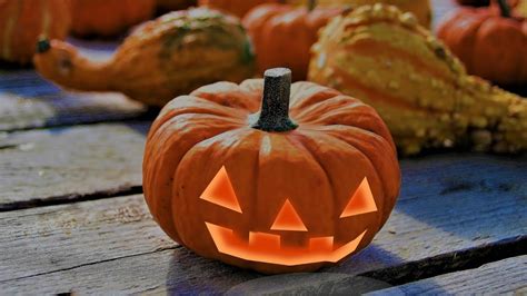 Halloween Pumpkin Photo Manipulation In Gimp 28 Youtube