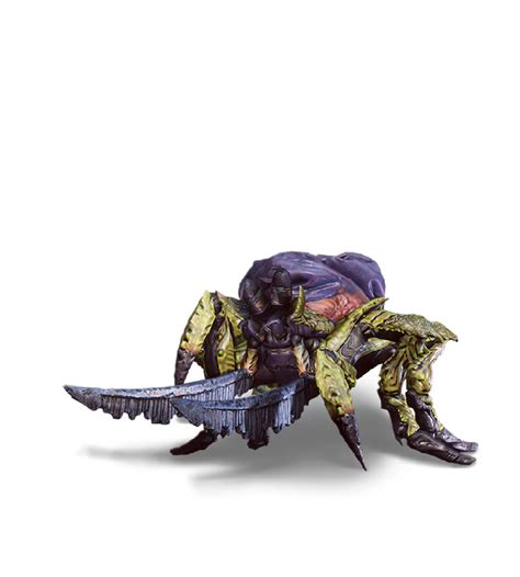 剧毒蟹蜘蛛 猎魔人中文维基 獵魔士中文維基 巫师狩魔猎人攻略资料站 The Witcher Wiedźmin 灰机