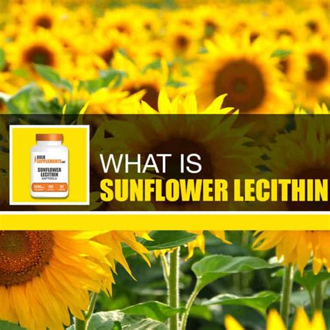 Lecithin Dosage For Anxiety At Susan Cochrane Blog