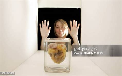 149 Shaun Sutton Photos And High Res Pictures Getty Images