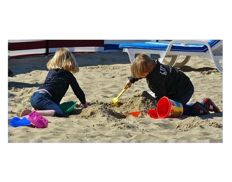 Classification Of Play Quiz