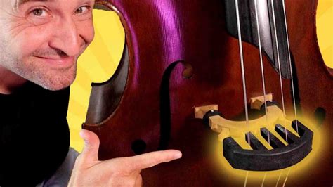 Buying A Double Bass The Ultimate Guide Double Bass Hq