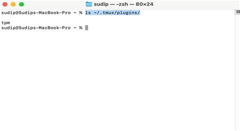 Macos Tmux Plugins Not Working Heres How To Fix It Geeksforgeeks